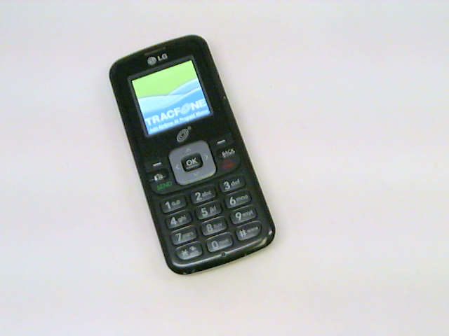 Net 10 LG100C, Bad ESN