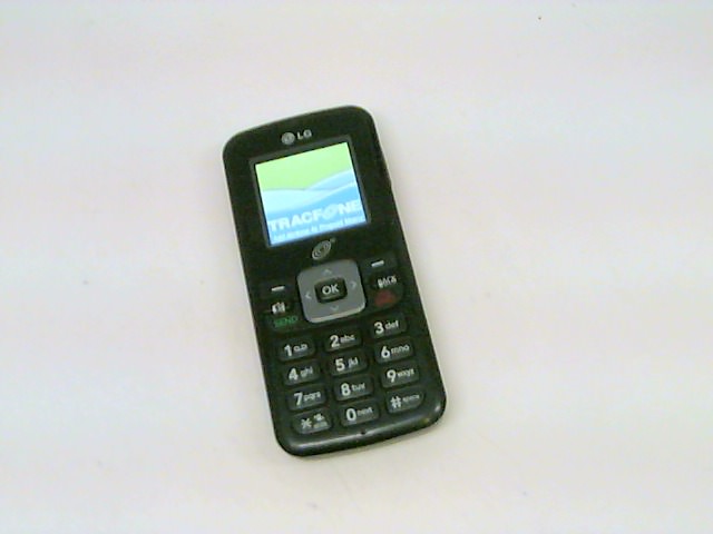 Tracfone LG 100C, Bad ESN