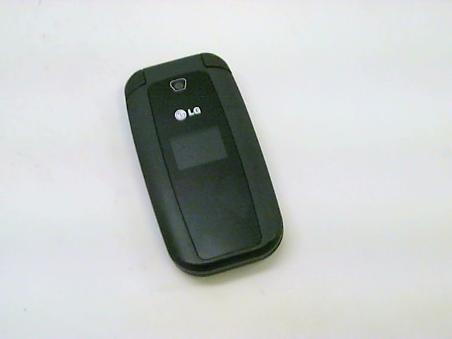 LG 440G Prepaid Phone (Tracfone), Bad ESN