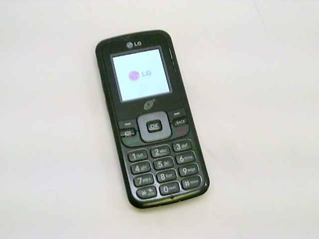 Net 10 LG100C, Bad ESN